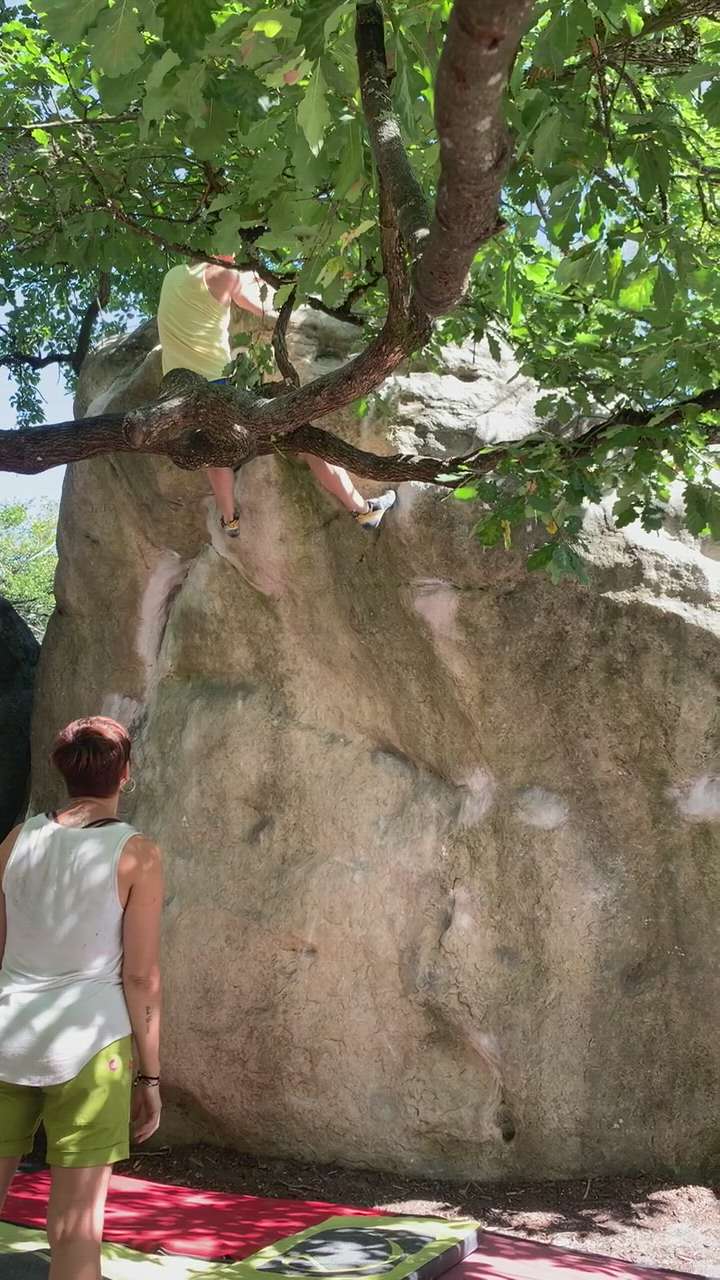 Le Surplomb Statique v4, Fontainebleau - KAYA | The Climber's App