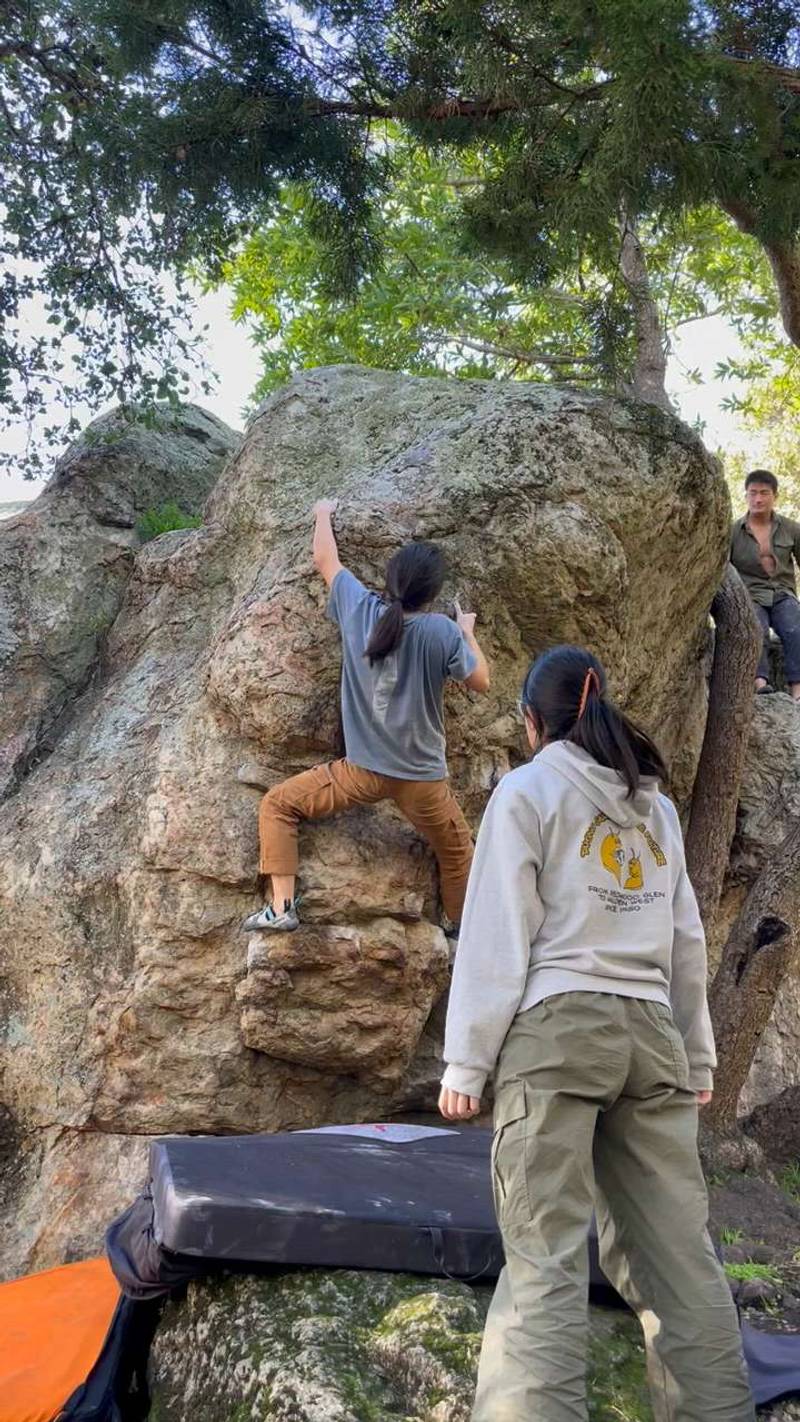 Thing Left v2 - Great Stone Face, Berkeley Bouldering - Watch Beta Videos