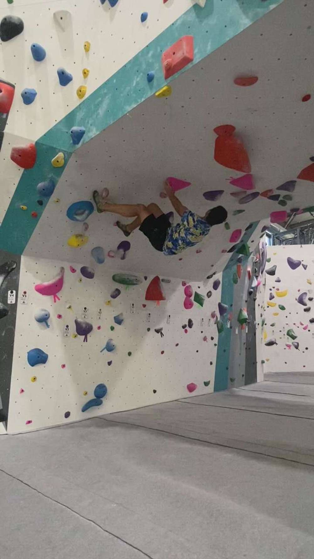 Pink v1 - Alpine Climbing Adventure Fitness Bouldering - Watch Beta Videos