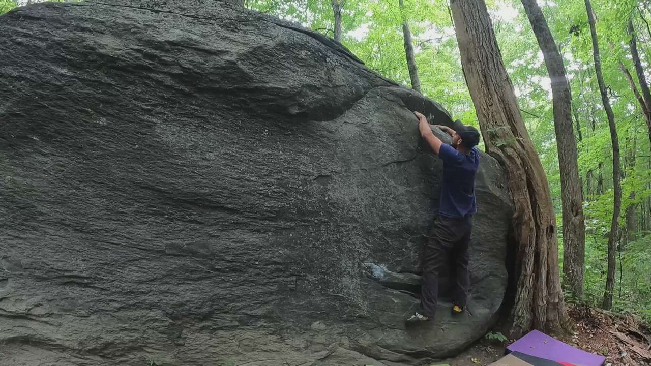 Inchworm v1 - Listening Rock Trail, Grayson Highlands State Park ...