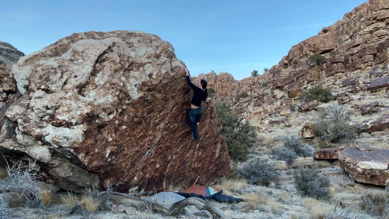 The Ravenous Bugblatter Beast of Traal v5 - Black Hills, Ibex ...