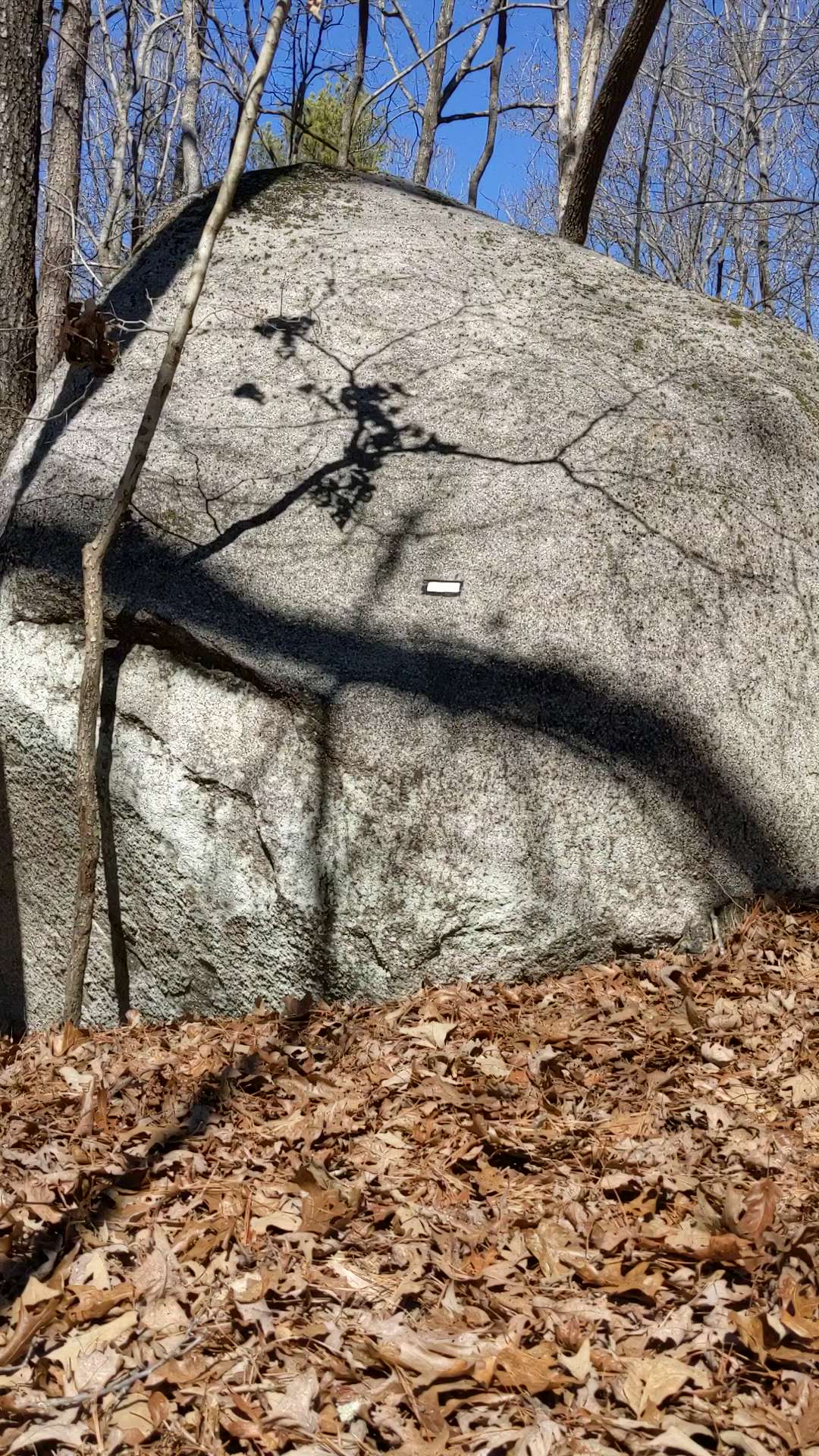 Little Puppies vB - Glove, Boat Rock Bouldering - Watch Beta Videos