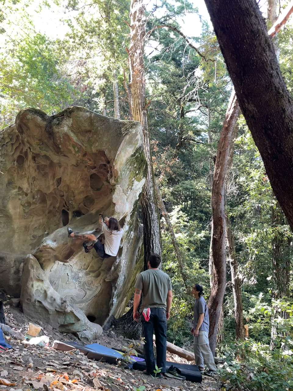 The Shark v1 - Down Under, Indian Rock Bouldering - Watch Beta Videos