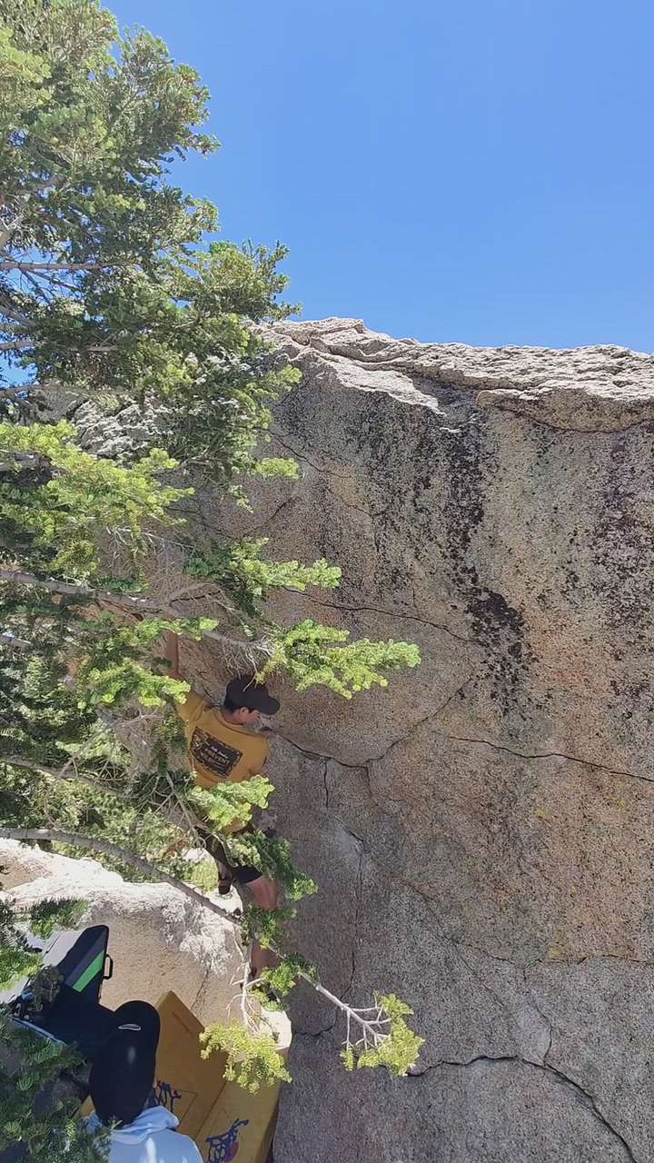 Standing on the Head of the Dragon v4 - Year of the Cat Gully, Tramway ...