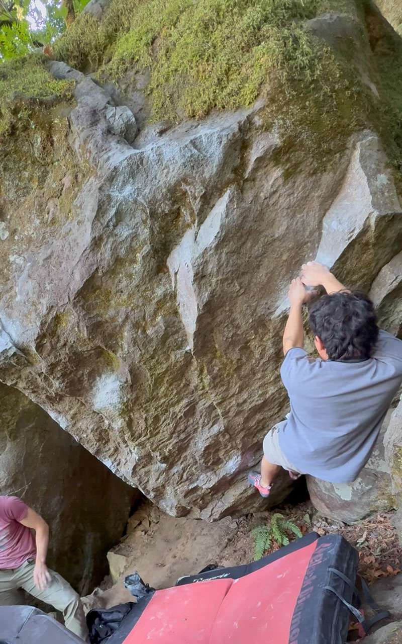 Honey Bear Hookah v6 - Main Forest, Carver Bouldering - Watch Beta Videos