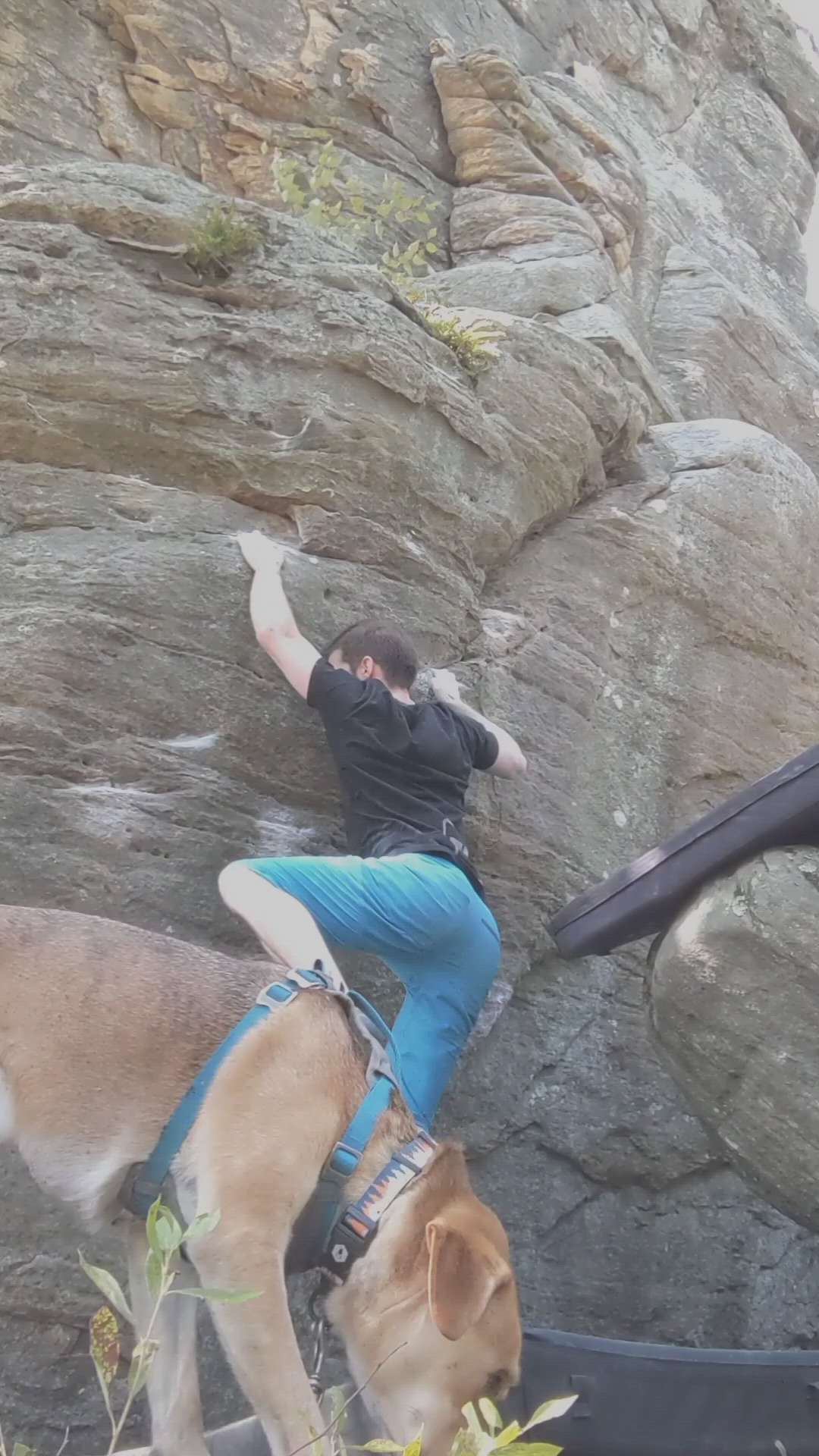 Smack Down v8 - Rattlesnake Mound Bouldering - Watch Beta Videos