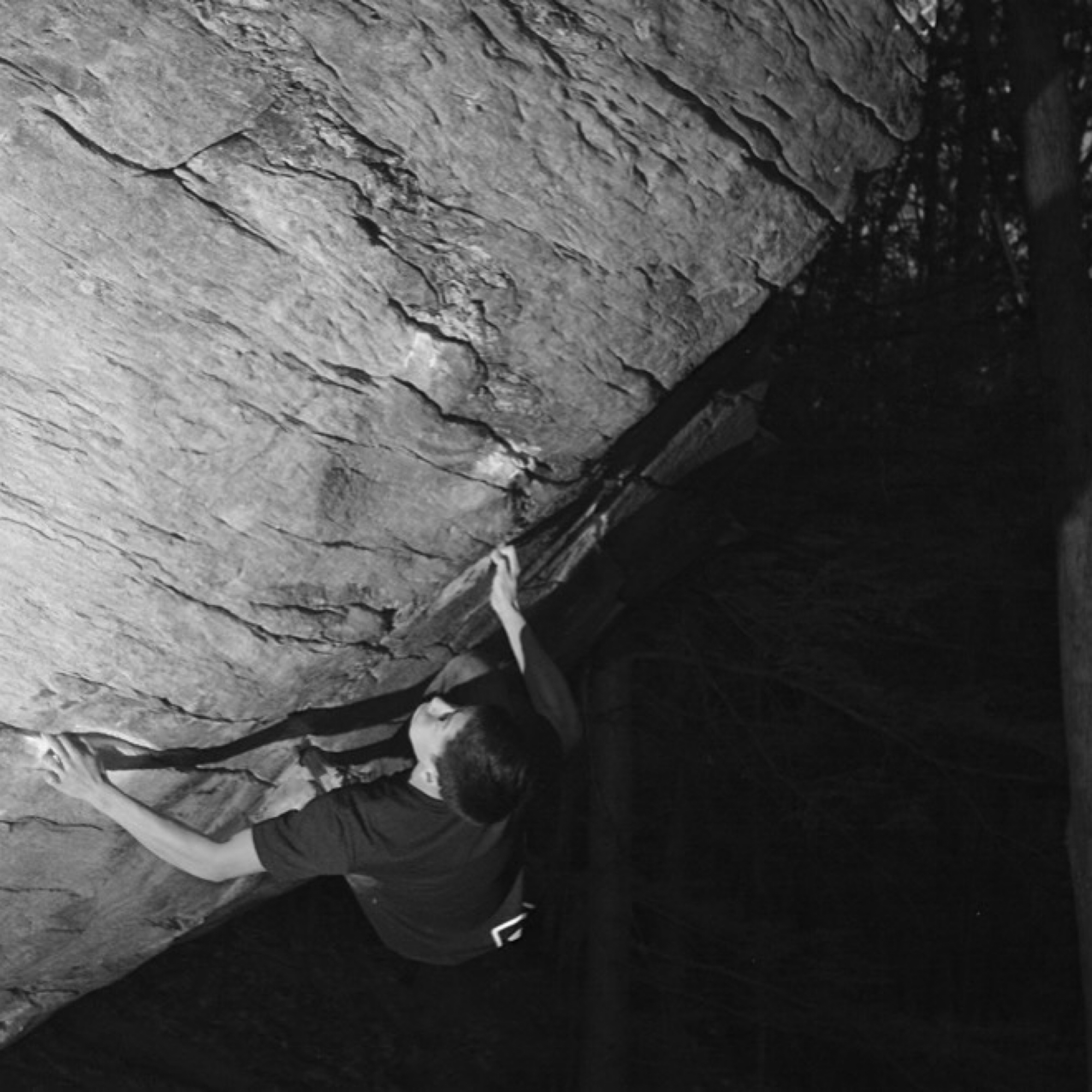 Roses and Blue Jays v13 - The Speed Boulder, Great Barrington ...