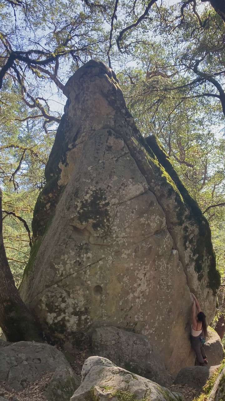 Pyramid Crack v0 - The Graveyard, Castle Rock State Park Bouldering ...