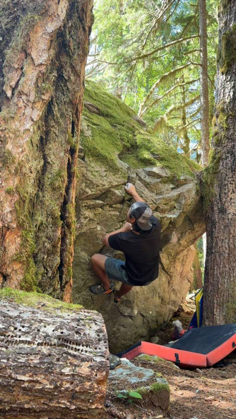 The Life and Climbs of KRUM Low v3 - Sutton Pass Bouldering - Watch ...